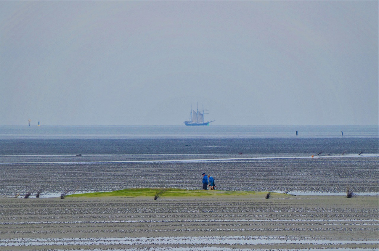 Exploration pédestre au cœur magique de la mer des Wadden