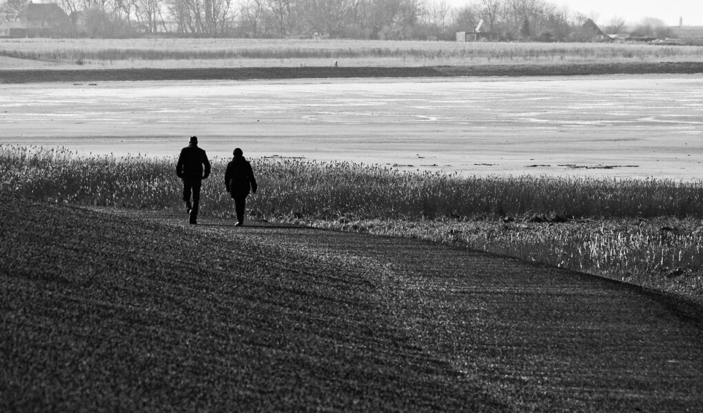Exploration pédestre au cœur magique de la mer des Wadden